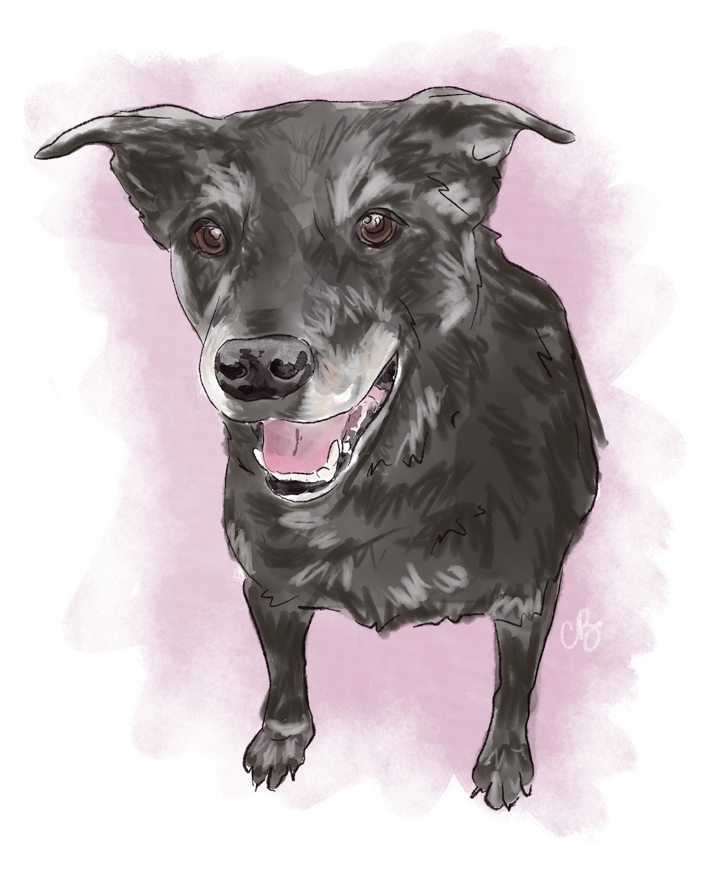 Custom Pet Portraits - Casey Barber