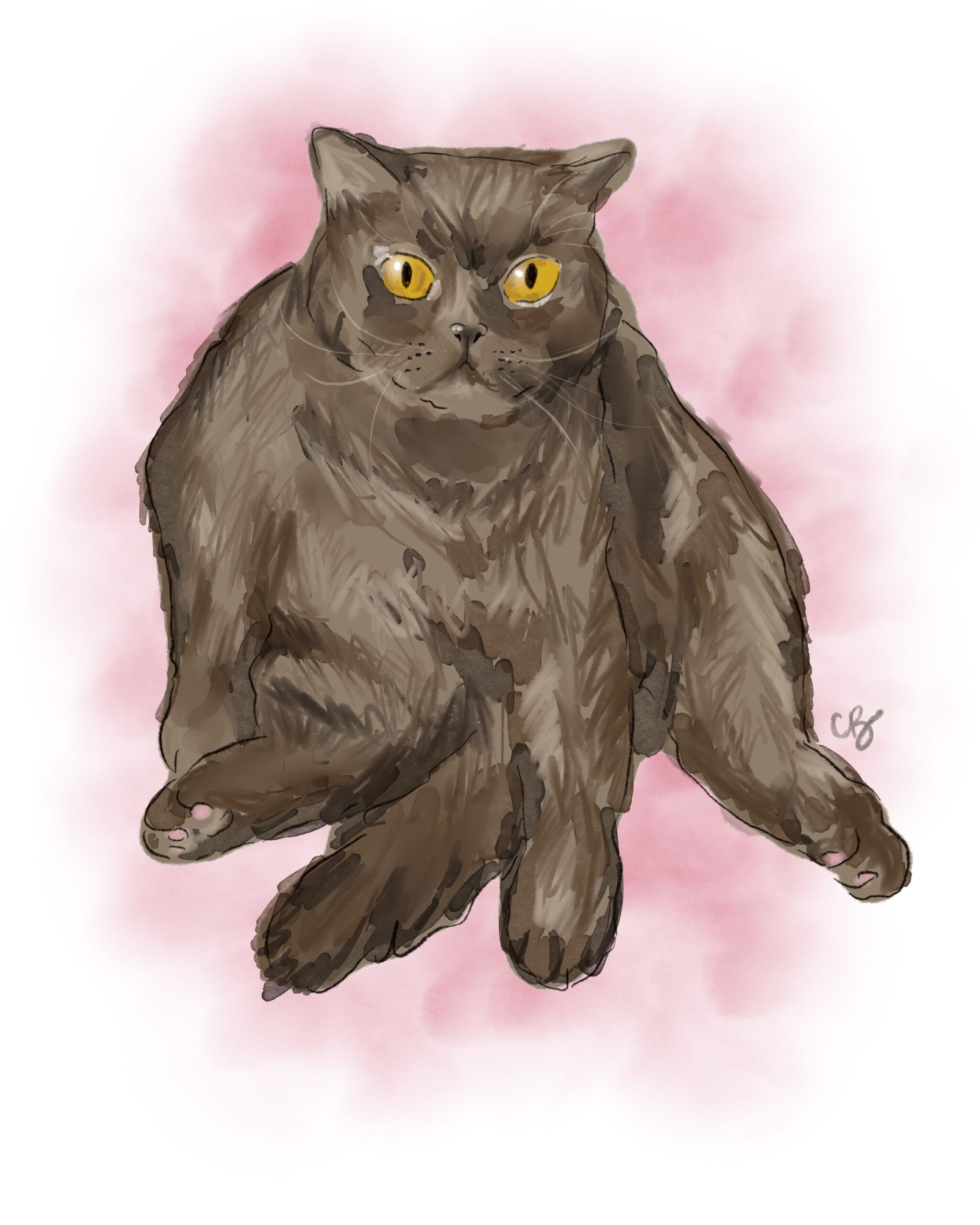 Custom Pet Portraits - Casey Barber