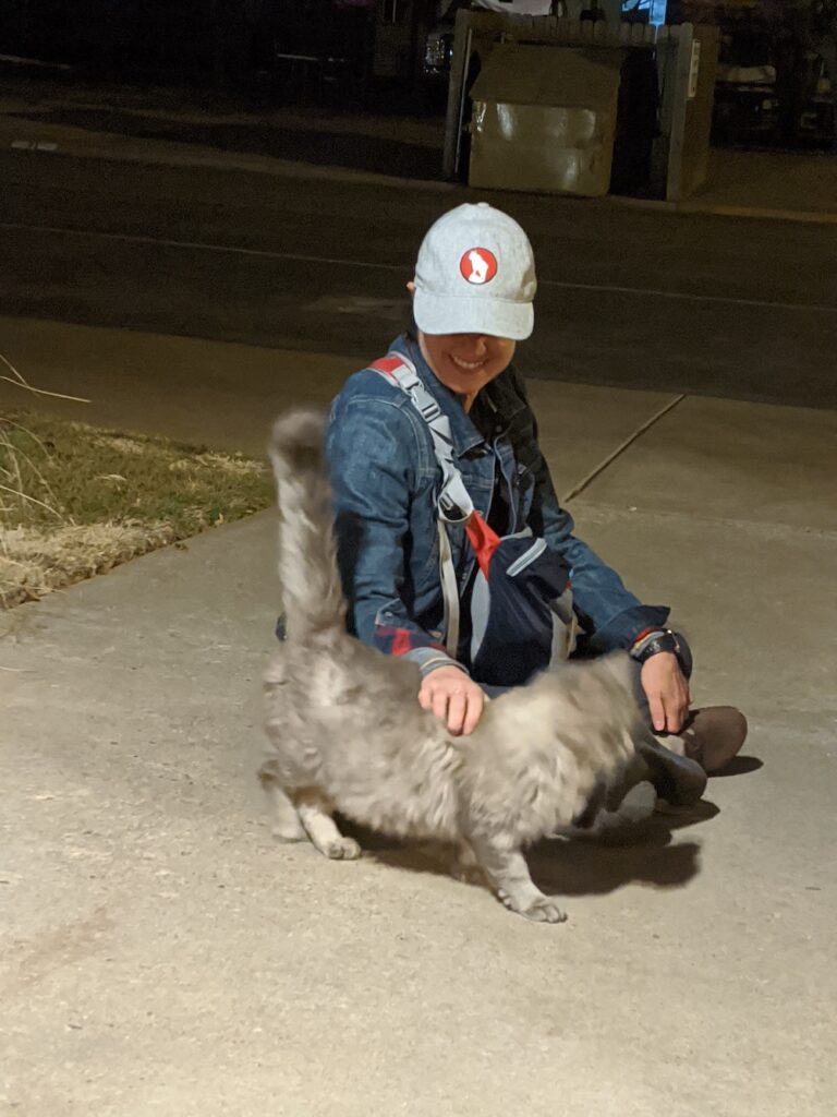 The Cats of Route 66 (The Ones I Met, At Least) - Casey Barber